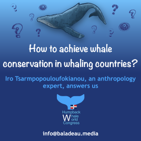 BaladoQuebec | BaladoQuebec.CA | How can we achieve whale conservation ...